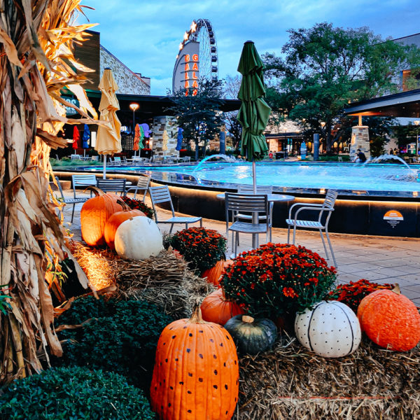 Fall for Grandscape - Grandscape