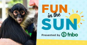 Grandscape - The Colony, Texas